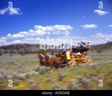 Stagecoach Ride in Yellowstone National Park – Wyoming USA Stock Photo ...