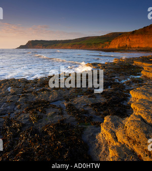 "Boggle Hole" cave, North Yorkshire coast, England, UK Stock Photo - Alamy