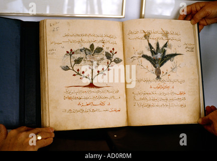 Istanbul Turkey Topkapi Manuscript Stock Photo - Alamy