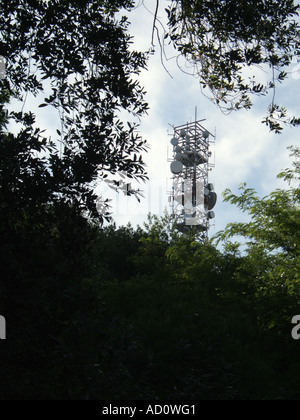 radio receiver mast transmitter seen through trees Stock Photo - Alamy
