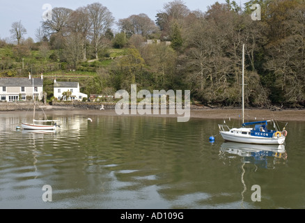 The River Dart at Duncannon, South Devon Stock Photo - Alamy