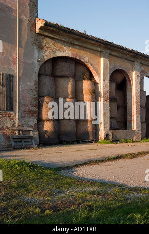 old farm in Zibello, Parma, ITALY Stock Photo - Alamy
