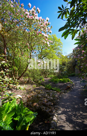 Clyne Gardens, in the City of Swansea, Wales, UK Stock Photo - Alamy
