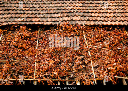 Leaf roof and bamboo houses Roof made of leaves Stock Photo - Alamy