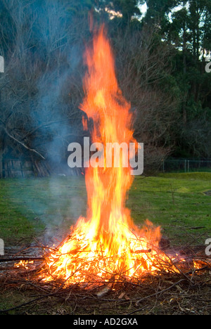 A backyard garden bonfire Stock Photo - Alamy