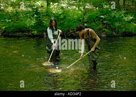Teenage girl using net sampling river water for fish and invertebrate ...