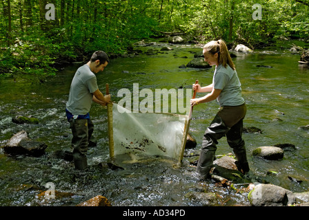 Teenage boy and girl using "kick-seine" net to sample stream for ...