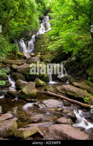 Waterfall and Cascades, Torc Waterfall, Owengarriff River, Killarney N ...