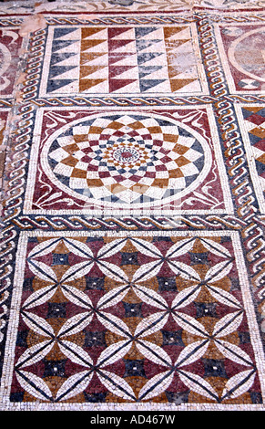 Ancient mosaics, Roman Villa Silini, Villa Sileen, Leptis Magna Libya ...