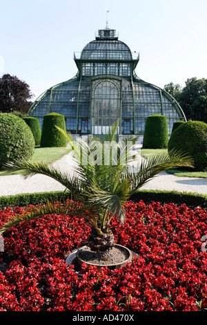Palmenhaus, historic green house Schoenbrunn, Vienna, Austria Stock ...