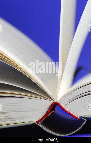 Open Book Pages detail of sheets of an open book on white background ...