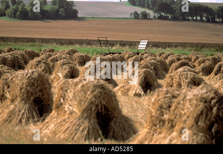 Old Fashioned Hay Stacks Stock Photo - Alamy