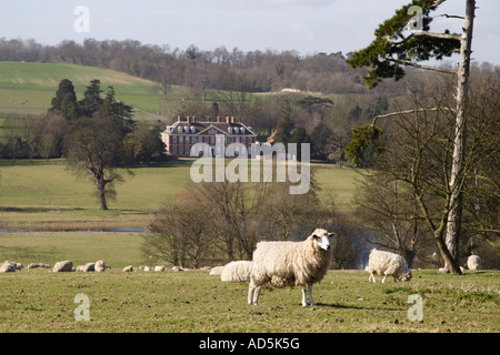 Sheep in pasture with Bourne Park, Bishopsbourne, Kent, 18th century ...