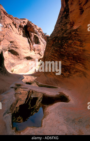 Hiker and Pools in narrow canyon Red Cliffs Recreation Area Utah s ...