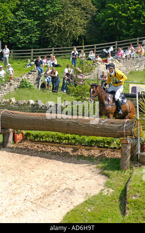 Nick Gauntlett and Calibre fall at Snuggledown lower pond Bramham ...