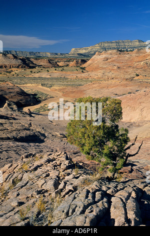 Harris Wash area Hole In The Rock Road region Grand Staircase Escalante ...