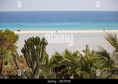 view from Hotel Sol Gorriones Playa de Sotavento Jandia Fuerteventura ...