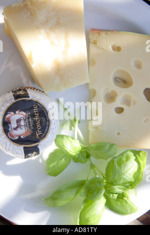 Goats cheese ..yummy Stock Photo - Alamy