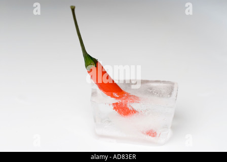 Image of Chilli pepper cooling down in a block of ice Stock Photo - Alamy