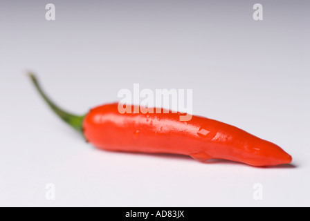 Image of a single, sweating, red chilli pepper Stock Photo - Alamy