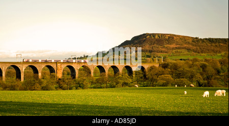 UK Cheshire Congleton railway viaduct over River Dane Stock Photo ...