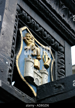 Ireland, Dublin, the Trinity College harp also called Brian Boru harp ...