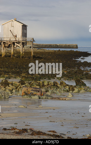 Old fishing wharf Hamningberg Finnmark Stock Photo - Alamy