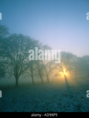 GB - BUCKINGHAMSHIRE: Flint Hall Farm at West Wycombe Stock Photo - Alamy