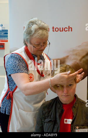 Charity - British Red Cross - Nurse Susan Quinn - Rhodesia Stock Photo ...
