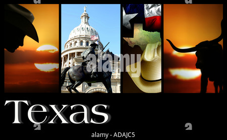 Signs Symbols of the State of Texas Texans State Capitol Austin ...