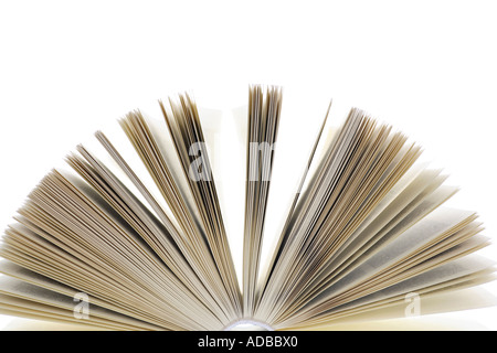 Abstract background with open printed books and blue flowers between ...