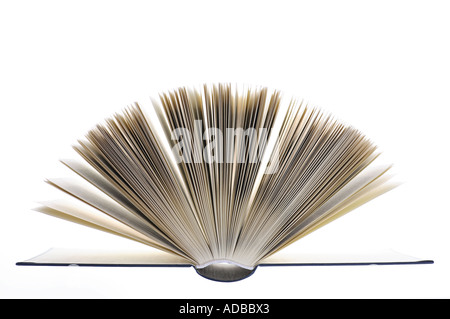 Abstract background with open printed books and blue flowers between ...