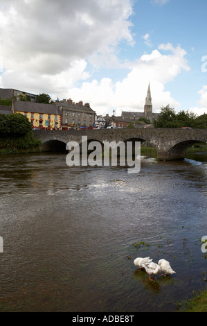 Bridge over the River Slaney, Enniscorthy, County Wexford, Ireland ...