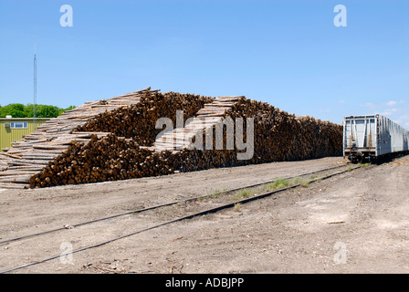 The logging industry near Escanaba in the Upper Peninsula of Michigan ...