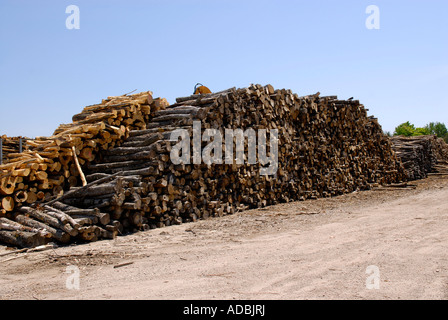 The logging industry near Escanaba in the Upper Peninsula of Michigan ...