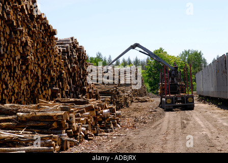 The logging industry near Escanaba in the Upper Peninsula of Michigan ...