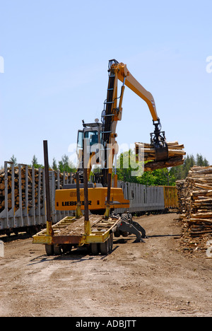 The logging industry near Escanaba in the Upper Peninsula of Michigan ...