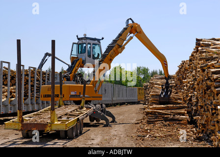 The logging industry near Escanaba in the Upper Peninsula of Michigan ...