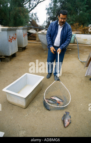 Wafra Kuwait Tanks At Fish Farm Stock Photo - Alamy