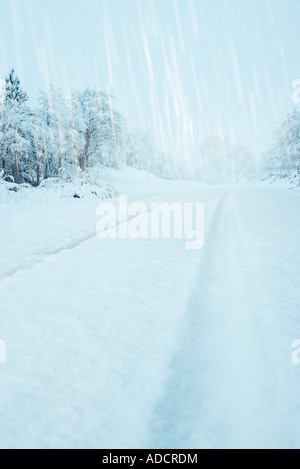 Winter landscape with falling snow. Winter landscape. Falling snow ...