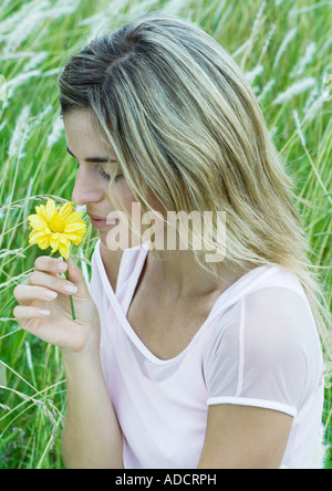 A yellow flower in a field. High quality photo Stock Photo - Alamy