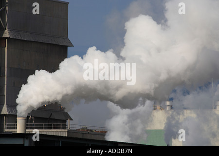 Eurocan Pulp and Paper mill Kitimat British Columbia Stock Photo - Alamy