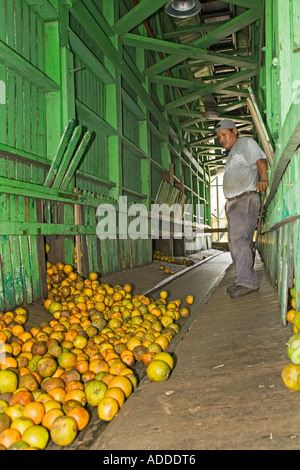 Citrus Processing Factory in Belize Stock Photo - Alamy