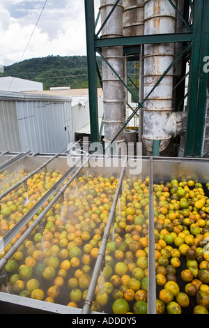 Citrus Processing Factory in Belize Stock Photo - Alamy