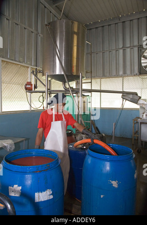 Marie Sharp Hot Sauce Factory Stock Photo - Alamy