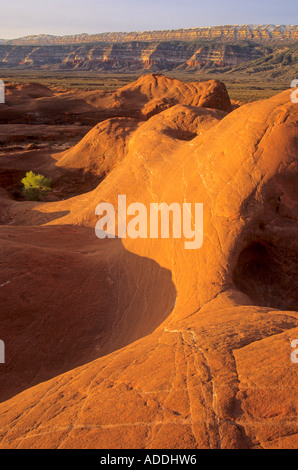 Sunrise colors sandstone landscape along the Straight Cliffs south of ...