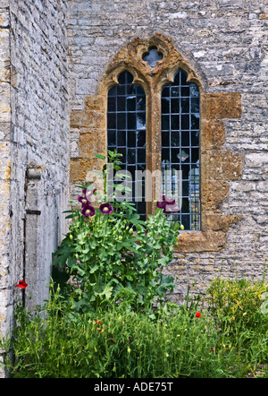 St Peter's Church, Portesham, Dorset Stock Photo - Alamy