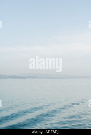 Panorama frame Beautiful rippling lake with yellowish brown grasses on ...