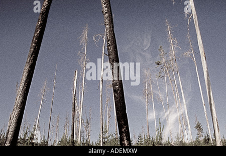 Forest fire fireman ghost Stock Photo - Alamy