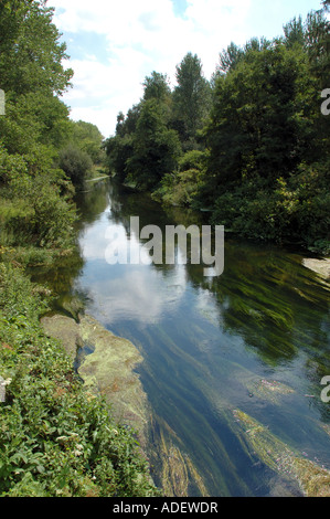 Little Ouse river at Santon Downham, Thetford Forest, Norfolk, UK Stock ...